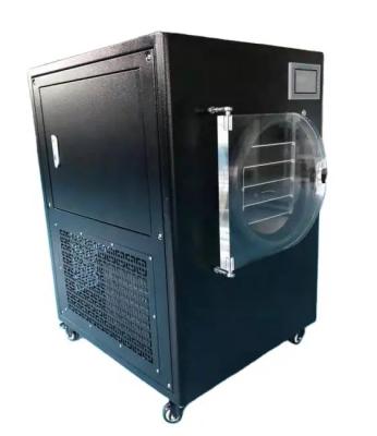 China Stainless Steel Pharmaceutical Freeze Dryer Standard Customized for sale