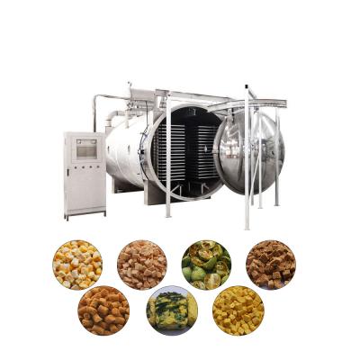 China CE Certified High Efficiency Low Energy Consumption Food Lyophilization Equipment Freeze Dry Machine for sale