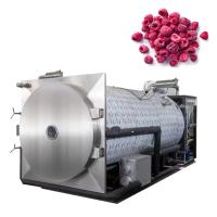 China ODM OEM Supported Stainless Steel Food Processing Vacuum Freeze Drying Machine Freeze Dry Machine for sale