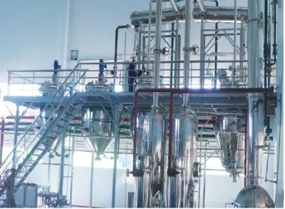 China High Efficiency Herbal Extraction Equipment Stainless steel 304 for sale
