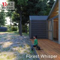 China Rad Smart Home Vacation Resort Prefab Timber House Wood Interior Finishing Modern Prefab Homes for sale