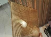 China Embedded Copper Glass Wire Mesh SS Rope Decorative Wire Mesh Glass for sale