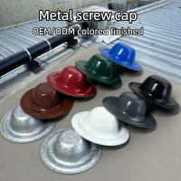 China 35mm Galvalume Metal Screw Caps Seals Over Existing Screws-Support Different Colors for sale