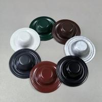 China 35mm Galvalume Metal Screw Caps Seals Over Existing Screws-Support Different Colors for sale