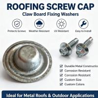 China Waterproof Metal Roof Screw Cap Covers ZAM Steel Seal Existing Screw Heads To Prevent Leaks for sale