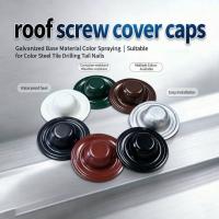 China Galvalume Steel 35mm Roof Screw Cover Caps In Corrugated Waterproof Roofing Screws for sale