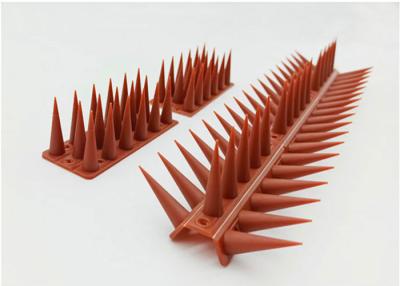China Outdoor Indoor OEM Plastic Anti Pigeon Spikes Eco Friendly Reusable Bird Repellent Effective for sale