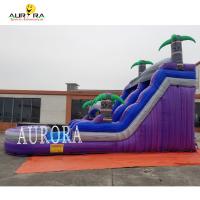 China Purple Giant Inflatable Water Slide Waterproof For Summer Fun for sale