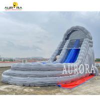 China Grey Inflatable Dry Slide Bounce House With Curve Fun For All Ages for sale