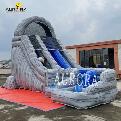 China Grey Inflatable Dry Slide Bounce House With Curve Fun For All Ages for sale