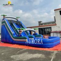 China Blue Dual Lane Inflatable Water Slide PVC Kids Backyard Inflatable Slide for sale