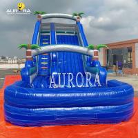 China Blue Dual Lane Inflatable Water Slide PVC Kids Backyard Inflatable Slide for sale