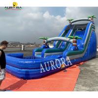 China Blue Dual Lane Inflatable Water Slide PVC Kids Backyard Inflatable Slide for sale