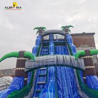China OEM Event Blue Double Lane Inflatable Slide For All Occasions for sale