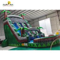 China Green Large Inflatable Water Slide Commercial Screamer Water Slide With Pool for sale