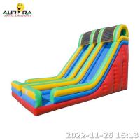 China PVC Tropical Inflatable Slide Double Lane Inflatable Water Slide With Pool for sale