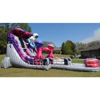 China Inflatable Water Slide For Adults Cheap Water Inflatable Slide With Pool For Kids for sale