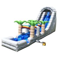 China Water Inflatable Slide Jumping Slide Party Pvc 18ft Dolphin Water Slide For Pool for sale