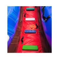 China Octopus Inflatable Water Slide Small Pool Backyard Inflatable Water Slide For Sale for sale