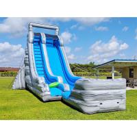 China Half Pipe Inflatable Water Slide jellyfish slide ocean large blue bouncy games for sale
