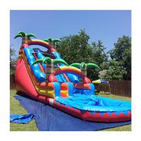 China Indoor Inflate Water Slide For Kids Blue With Pool For Adults Outdoor Slide for sale