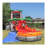 China Indoor Inflate Water Slide For Kids Blue With Pool For Adults Outdoor Slide for sale