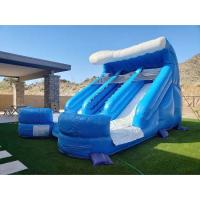 China Inflatable Giant Water Slides With Swimming Pool Big Tropical Inflatable Water Slide for sale