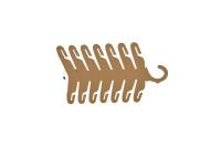 China Detachable Flexible Multifunction Paper Hangers for Garments and Clothes Accessories for sale