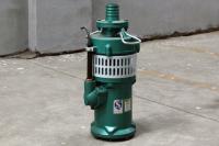China QY65-13-4A Oil Filled Submersible Pump 65m3/H 13m Lift Irrigation Pump for sale