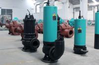 China WQS Water Filled Submersible Sewer Pump 20m3/H 25m Lift 37kw Industrial Waste Pump for sale