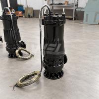 China 5.5kW Submersible Sewage Pump 40 m³/h 22 m Head WQ Submersible Wastewater Pump for sale
