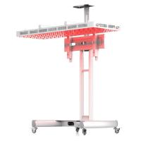 China R2000 Near Infrared Red Light Therapy Panel Full Body With Timing for sale