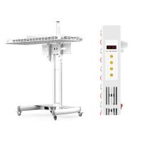 China Double Chip LED Red Light Therapy 2400W For Revitalizes Skin for sale