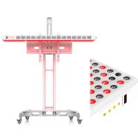 China Shoulder Red Light Therapy Full Body 3000W Self Supporting Bedtime Use for sale