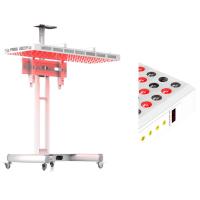 China Led Red Light Therapy Panel For Hair Loss 660Nm 850Nm Led Therapy Device No Flicker Infrar Led Light Therapy Equipment for sale