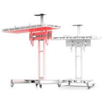 China Versatile Full Body Red Light Therapy Panel 660Nm 850Nm Infrared Therapy Bed for sale