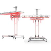 China Personalized 1500W Red Light Therapy Skin Rejuvenation 60 Degree Beam Angle for sale