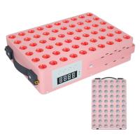 China 2 Colours Led Bio Light Therapy Machine 660Nm 850 Near Infrared Half Body Illumination Pain Relief Physiotherap for sale