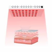 China AC 100-240V Handheld Red Light Therapy Devices 120PCS Chip Built-in Timer For Hair Growth for sale