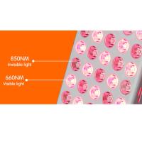 China Intelligent Timer 200W Red Light Therapy Instrument 660NM 850NM Portable for sale
