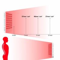 China Home 850nm 660Nm LED Red Light Therapy 200W Handheld For Pain for sale