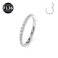 China G23 Titanium Half Pavé CZ Clicker Hoop Ring Implant Grade G23 Titanium CZ Clicker Ring  Half Eternity CZ Hinged Hoop Ring  Premium Titanium Cartilage Clicker Hoop  Classic Pavé Crystal Nose & Ear for sale