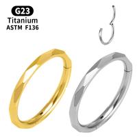 China Geometric Faceted Seamless Clicker Hoop Ring Minimalist Faceted Titanium Clicker Ring  Geometric Hammered Hoop Piercing Ring  Modern Polygonal Seamless Hoop  Textured Titanium Cartilage Clicker for sale