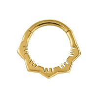 China Crown Edge Clicker Hoop Ring Royal Crown Titanium Clicker Ring  Crown Point Statement Hoop  Geometric Crown Piercing Ring  Regal Spike Clicker Hoop for sale