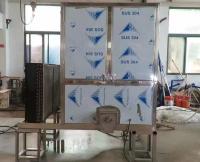 China 2T Per Day Large Capacity Ice Making Machine OEM & ODM Deep Freezer for Ice Maker Machine Factory Stainless Steel Make Ice for sale