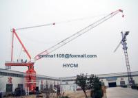 China D5020 Luffing Jib Tower Crane - 50m Boom Length, 2.0t End Load, 200m Lifting Height for Urban Construction for sale