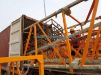 China 38m External Climbing types of Mini Tower Cranes qtz31.5 Tower Crain for sale
