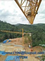 China QTZ100 Top Slewing Crane With Head 8t Max Load 45m Free Height Building for sale