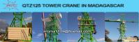 China The Tower Crane QTZ125 6515 Building Construction Tools And Machine for sale