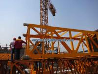 China QTZ6520 Cranes Tower Top Climbing 65m Working Jib Length With Head for sale